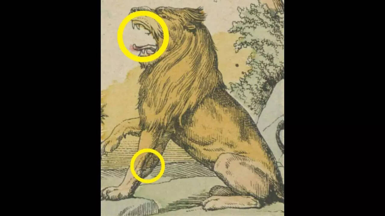 Optical Illusion: Spot The Rats Hiding From The Lion In The Image In 10 ...