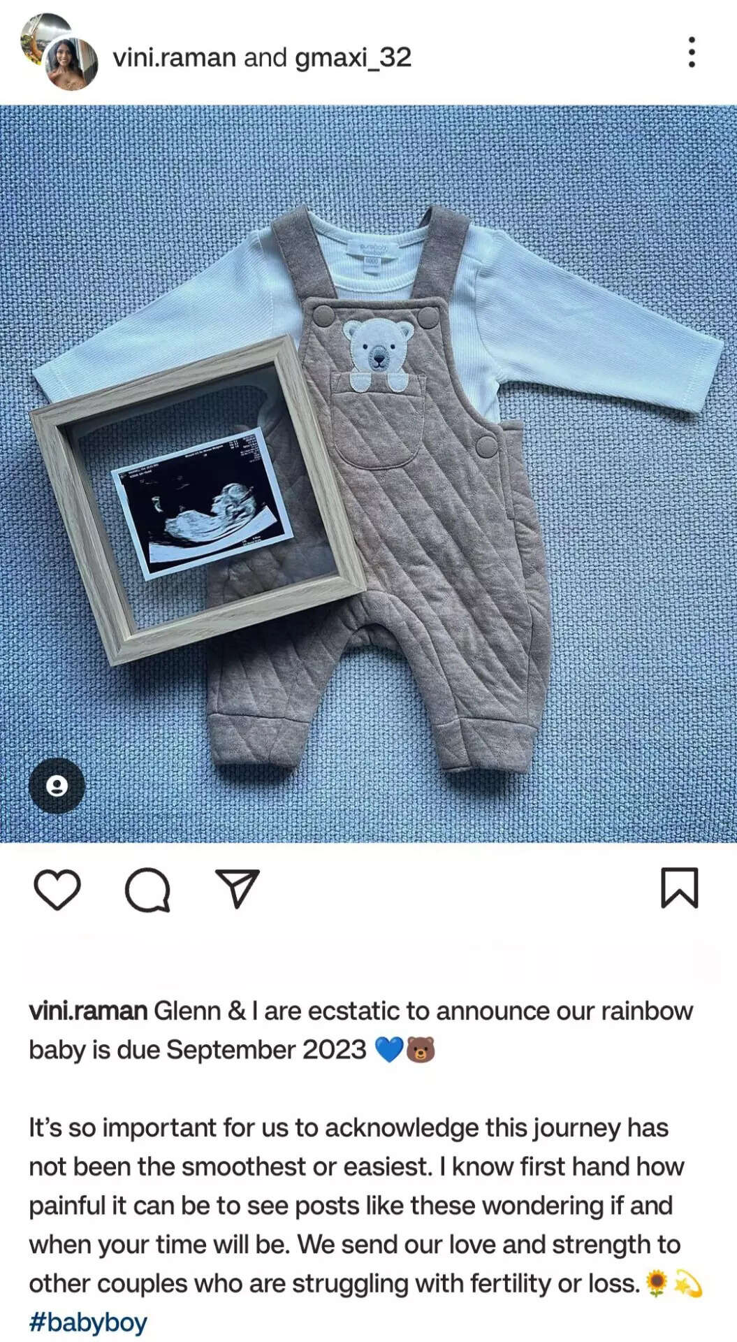 Glenn Maxwell's Wife Vini Raman Explains What Is Rainbow Baby As Couple ...