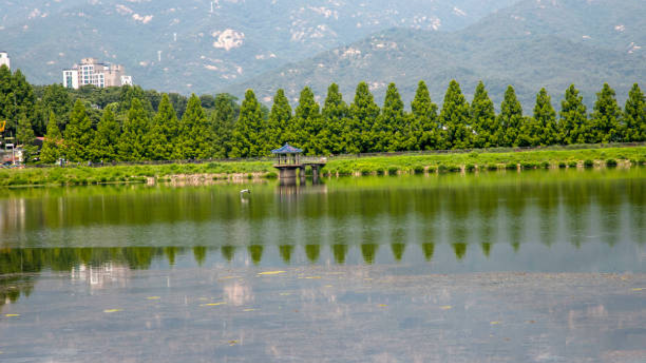 5 Most Beautiful Lakes In Kashmir You Must Visit | Travel News, Times Now