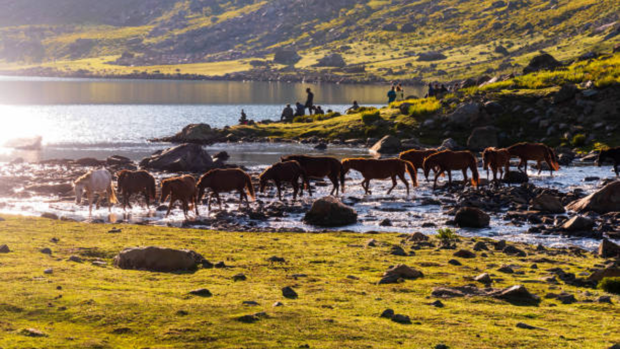 5 Most Beautiful Lakes In Kashmir You Must Visit | Travel News, Times Now