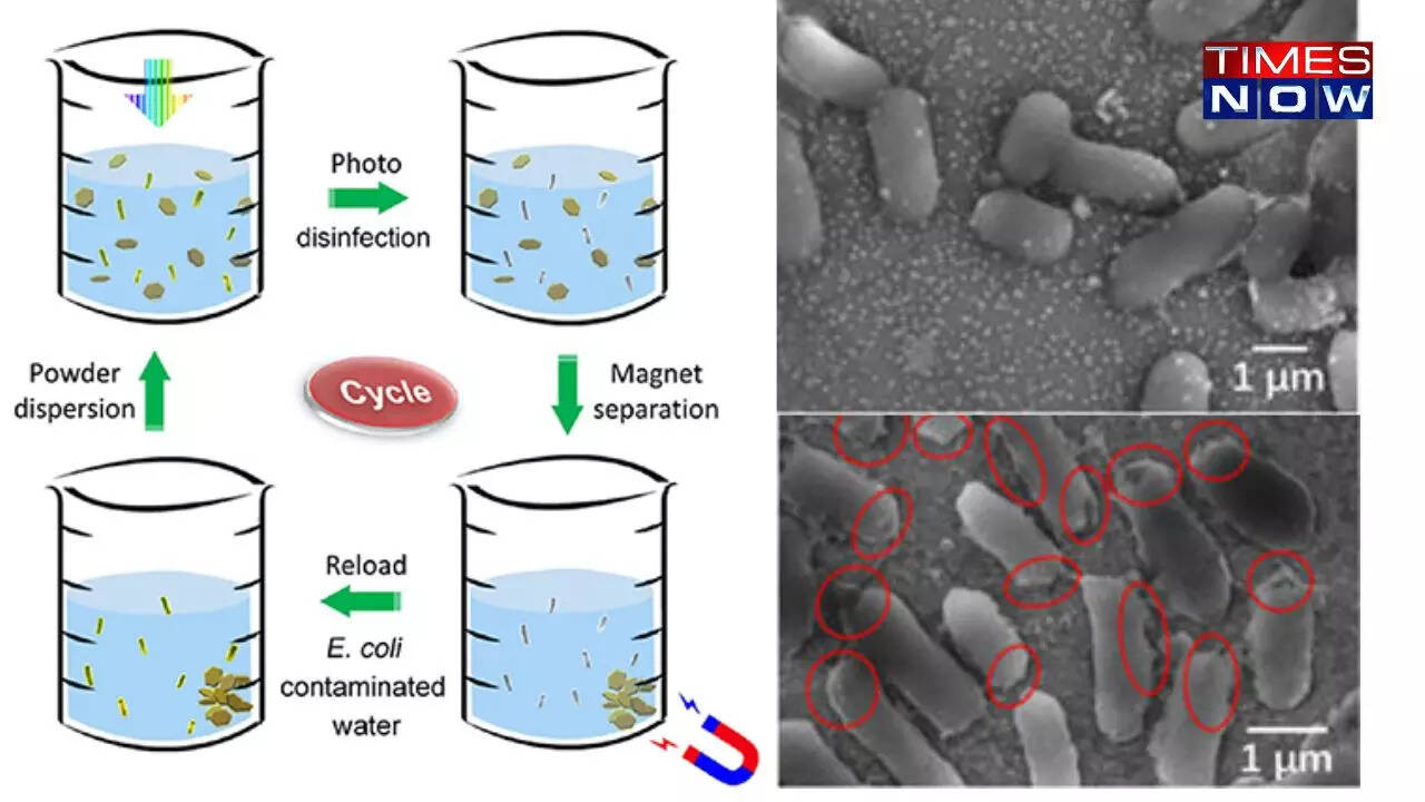 Scientists invent Magic Sunlight Powder: The Fast and Cheap Solution to ...