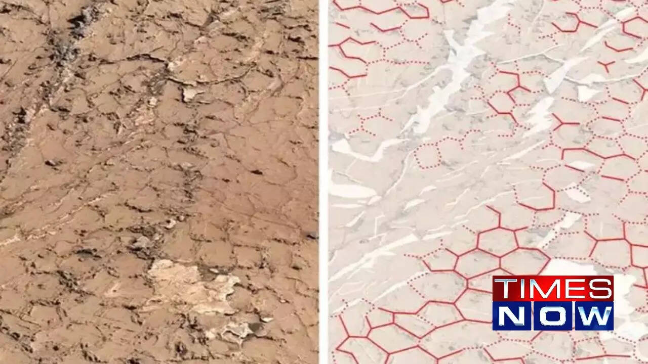 Life on Mars? Rover's Discovery of Hexagonal Cracks Unearths Explosive ...