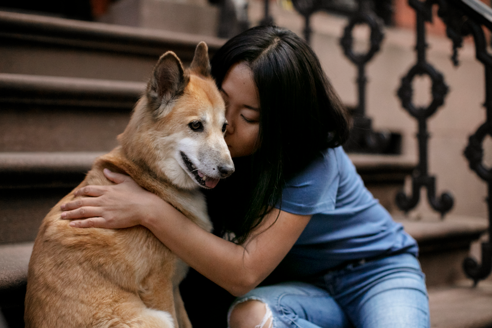 5 Benefits of Adopting a Rescue Animal | Pets News, Times Now