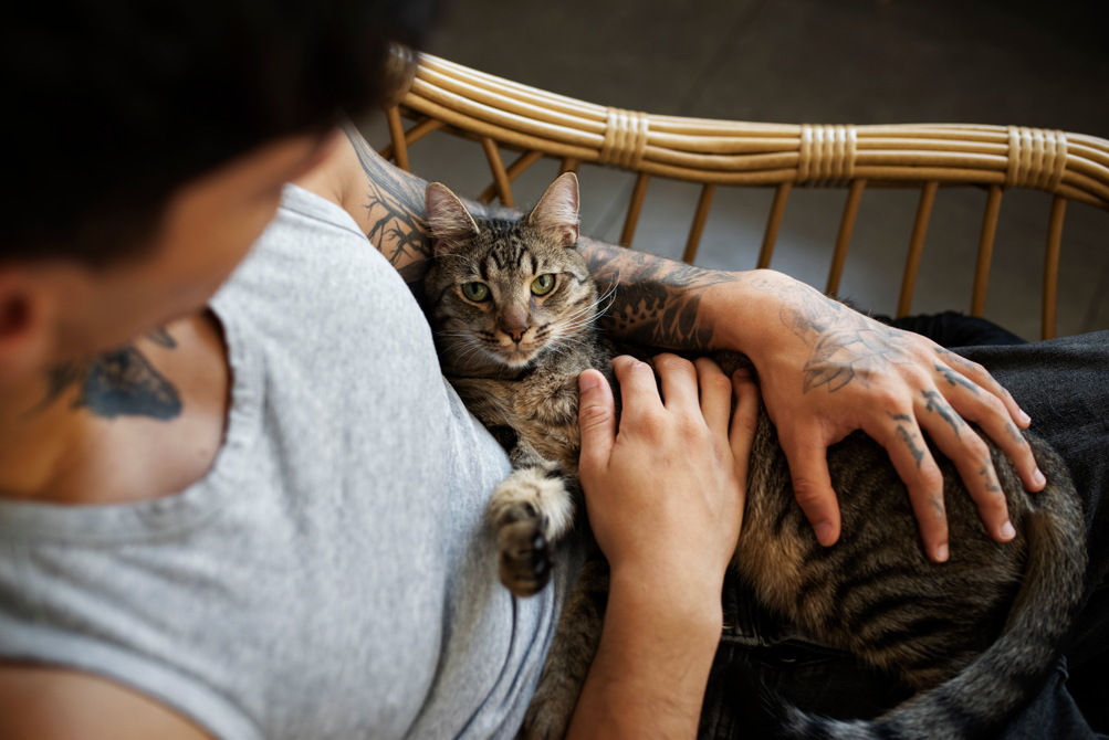 5 Benefits of Adopting a Rescue Animal | Pets News, Times Now