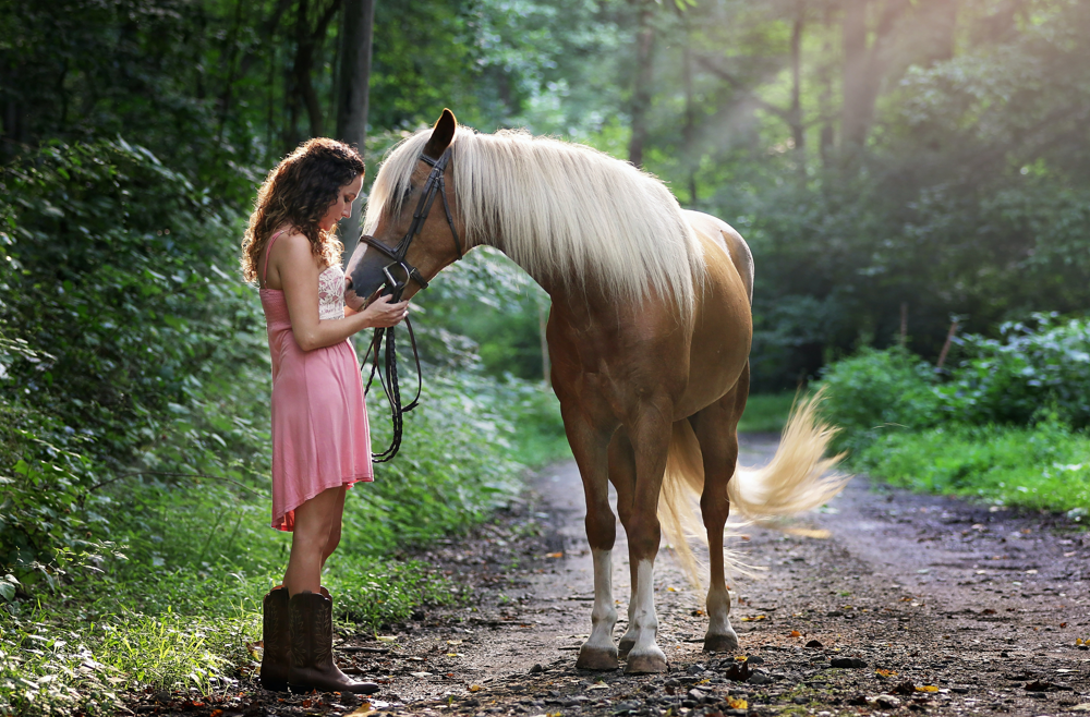 The Healing Power of Animals and Their Impact on Mental Health | Pets ...