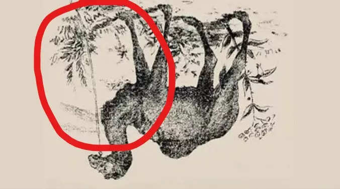 Optical Illusion Test: This Image Of A Camel Has A Man's Face Hidden In ...