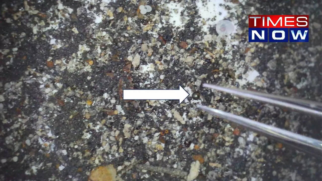 Aliens On Earth?: Harvard's Avi Loeb Discovers First-Ever Alien Object ...