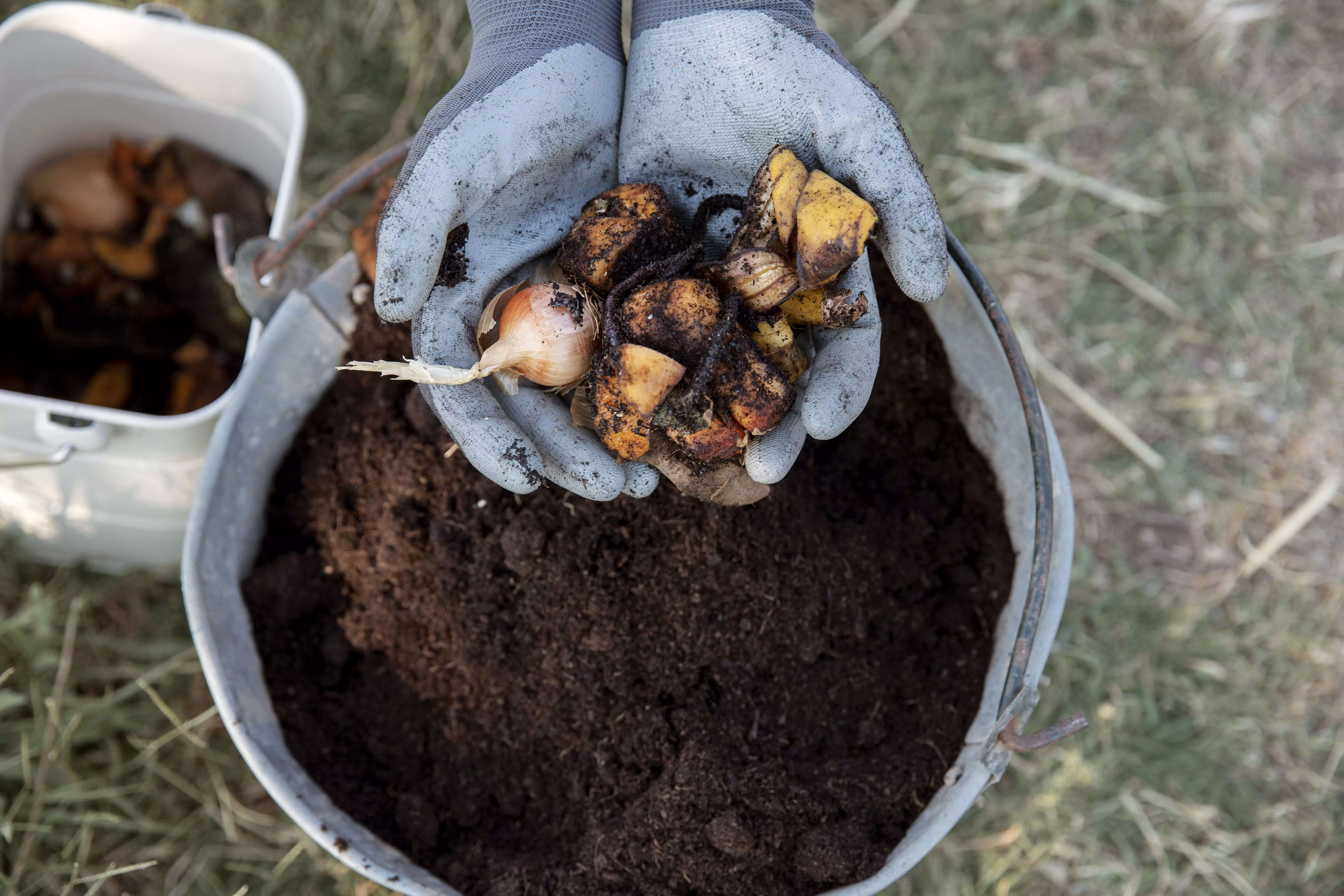 Home Composting Made Simple: Reduce Waste and Boost Your Garden | Home ...