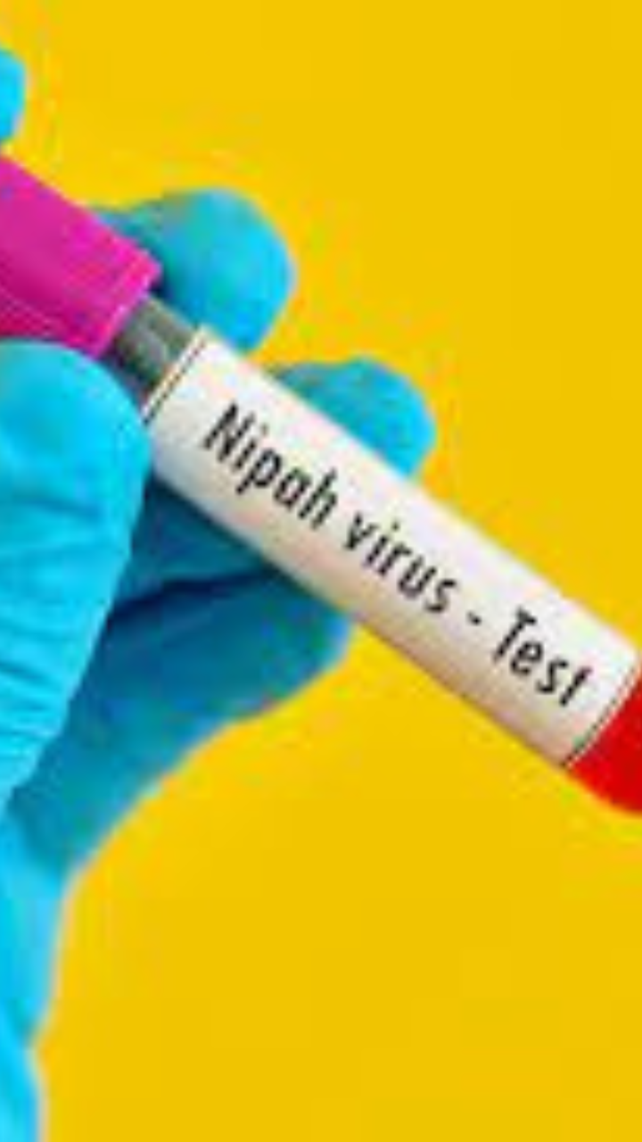 Nipah Virus Brings Back COVID-Like Scare Nipah Virus Brings Back COVID-Like Scare
