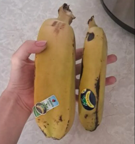 Viral Photo Of Gigantic Banana Leaves Internet Baffled | Viral News ...