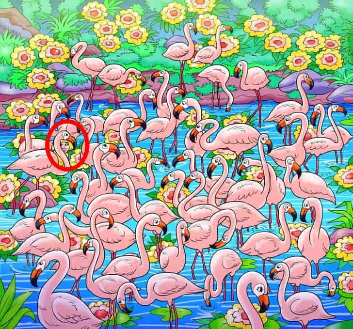 Hidden Girl Optical Illusion: Can You Find The Missing Girl Among ...