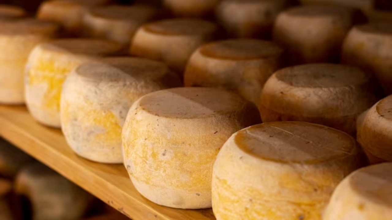 Cheese Traditions From Around the Globe