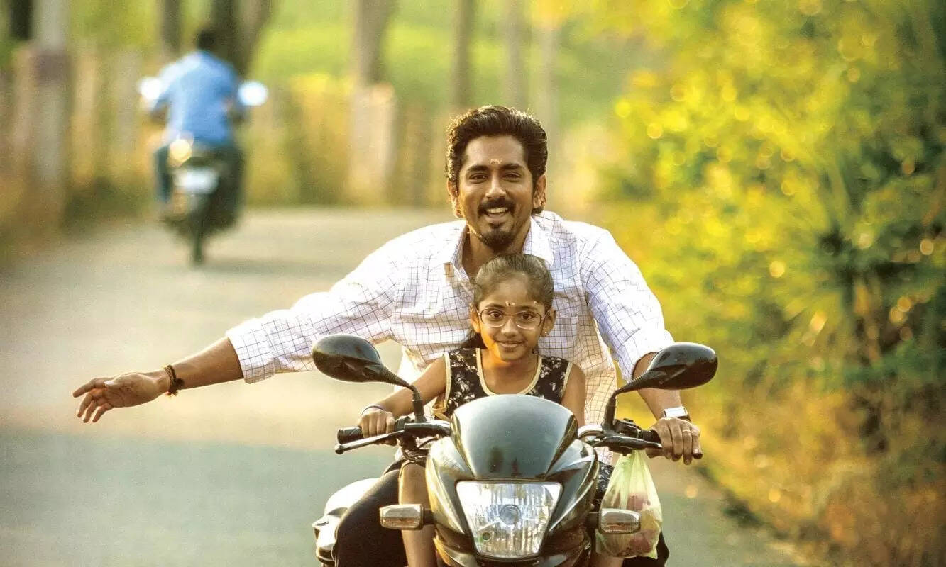 Chithha Release Date Review Imdb Ratings Cast And Trailer Movies