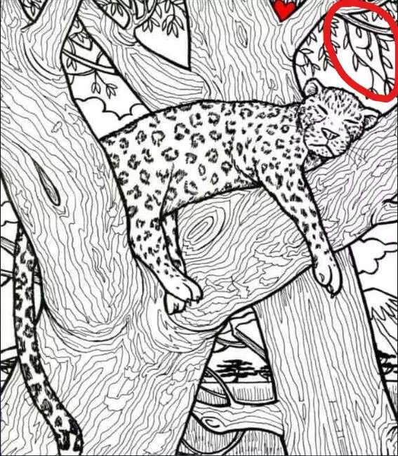 Optical Illusion Test: Find The Fish Hidden In The Picture Within 10 ...