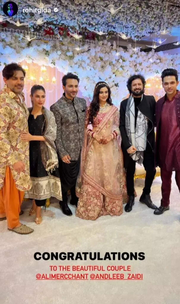 Ali Merchant-Andleeb Zaidi Wedding Reception: Bigg Boss Fame Archana ...