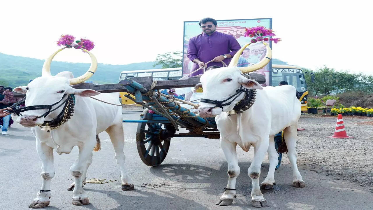 marathi movie navardev bsc agri poster launch - नवरी मिळे ना नवऱ्याला ...
