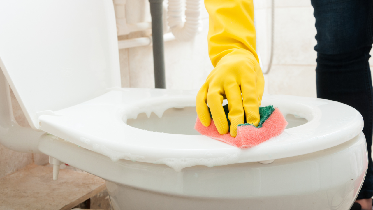 Make Your Own Toilet And Bathroom Cleaner Using Simple Ingredients ...
