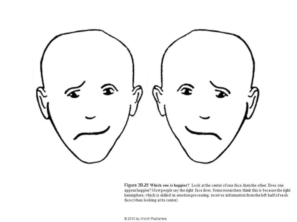 Optical Illusion Test: Uncover Hidden Personality Traits | Times Now