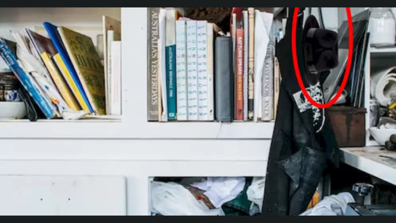 Optical Illusion: Can You Spot The Hidden Hat Within 5 Seconds In This ...