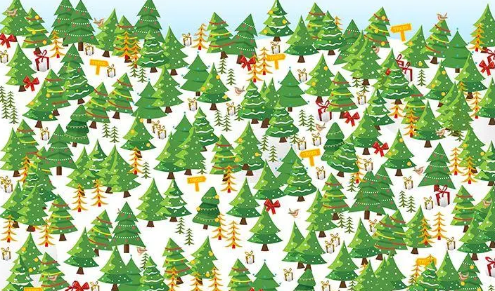 Optical Illusion: Can You Find The Hidden Star Among Christmas Trees ...