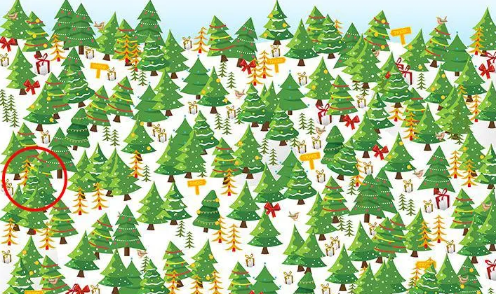 Optical Illusion: Can You Find The Hidden Star Among Christmas Trees ...