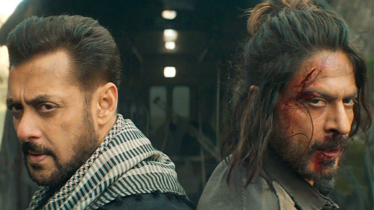 Small Role, Big Impact: Vicky Kaushal In Dunki To Triptii Dimri In ...