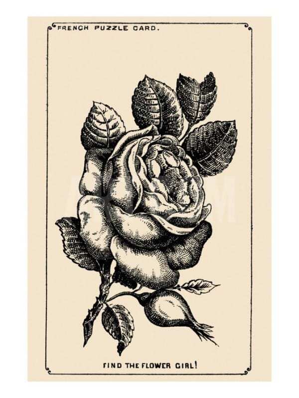 Optical Illusion Vision Test: Can You Spot the Hidden Flower Girl in 10 ...