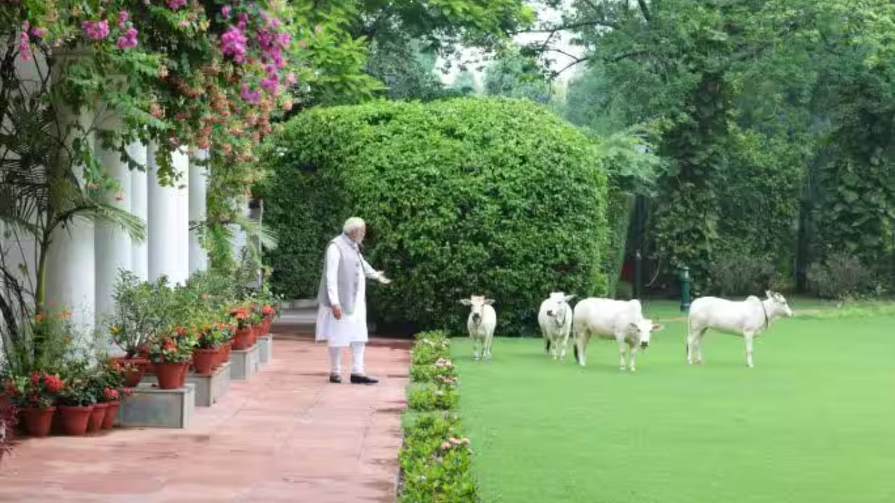 Photos | 23 EPIC PM Modi Moments This Year | India News, Times Now