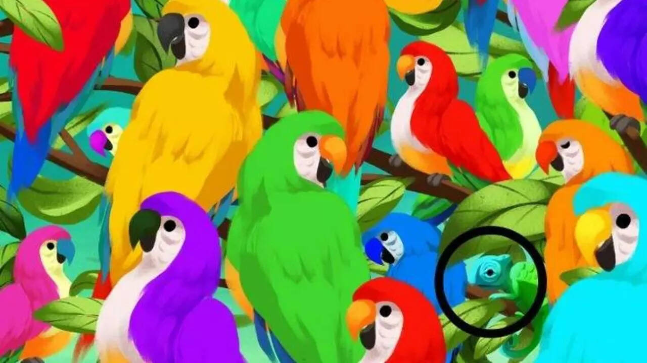 Optical Illusion: Optical Illusion IQ Test: Can You Spot A Chameleon ...