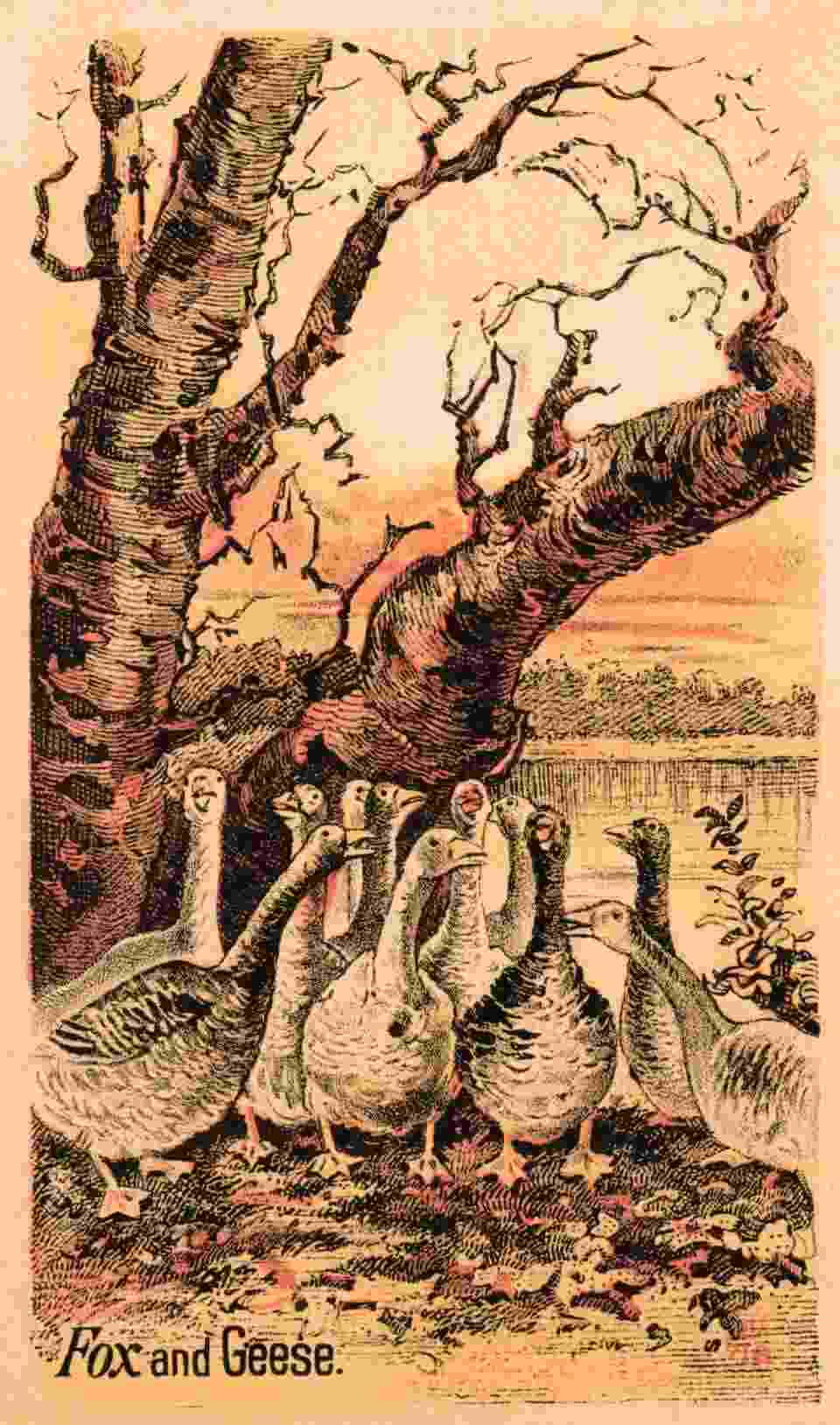 Puzzle: Only 1% of People Can Find The Hidden Fox Among The Geese In ...