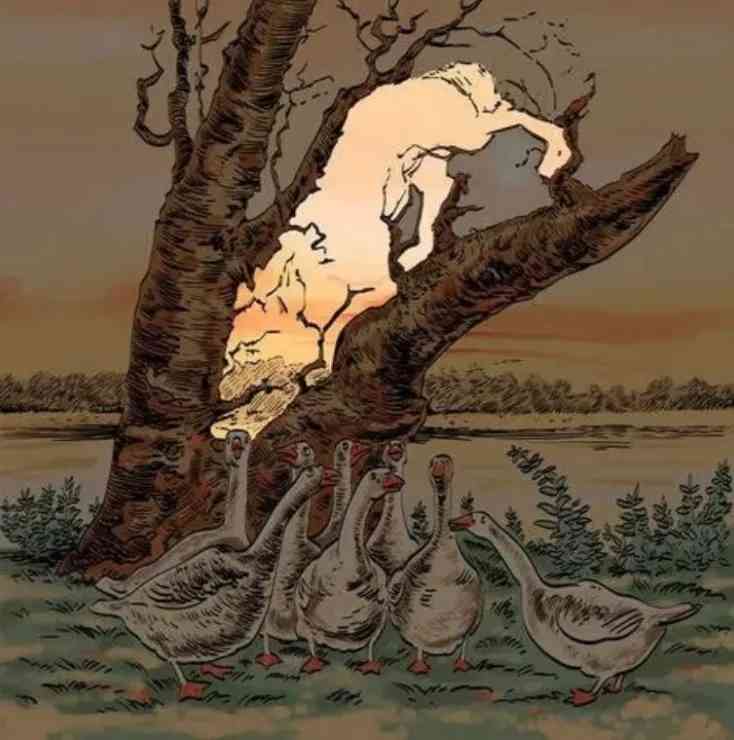 Puzzle: Only 1% of People Can Find The Hidden Fox Among The Geese In ...