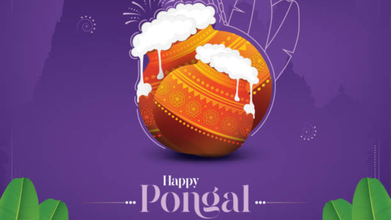 Happy Pongal 2024: Wishes, Messages, Quotes, Images To Send On This ...