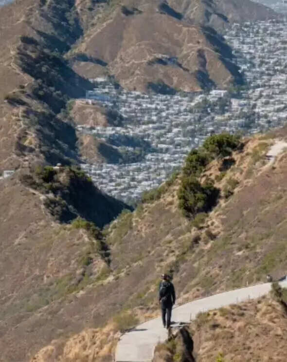 Optical Illusion Personality Test: What You See First Reveals Whether ...