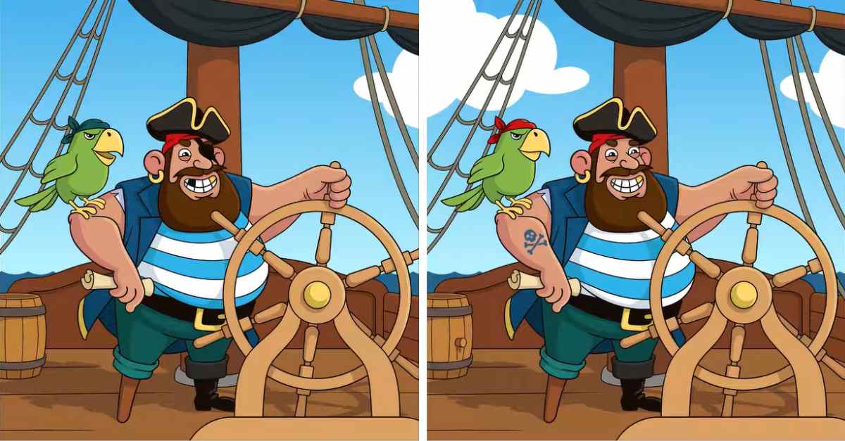 Puzzle: Find The 10 Difference Between These Pirate and Parrot Pictures ...