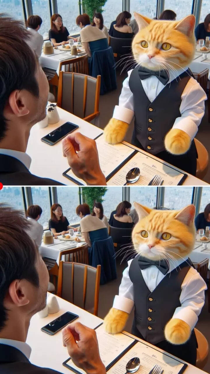 puzzle, find the difference puzzle, | Viral News, Times Now