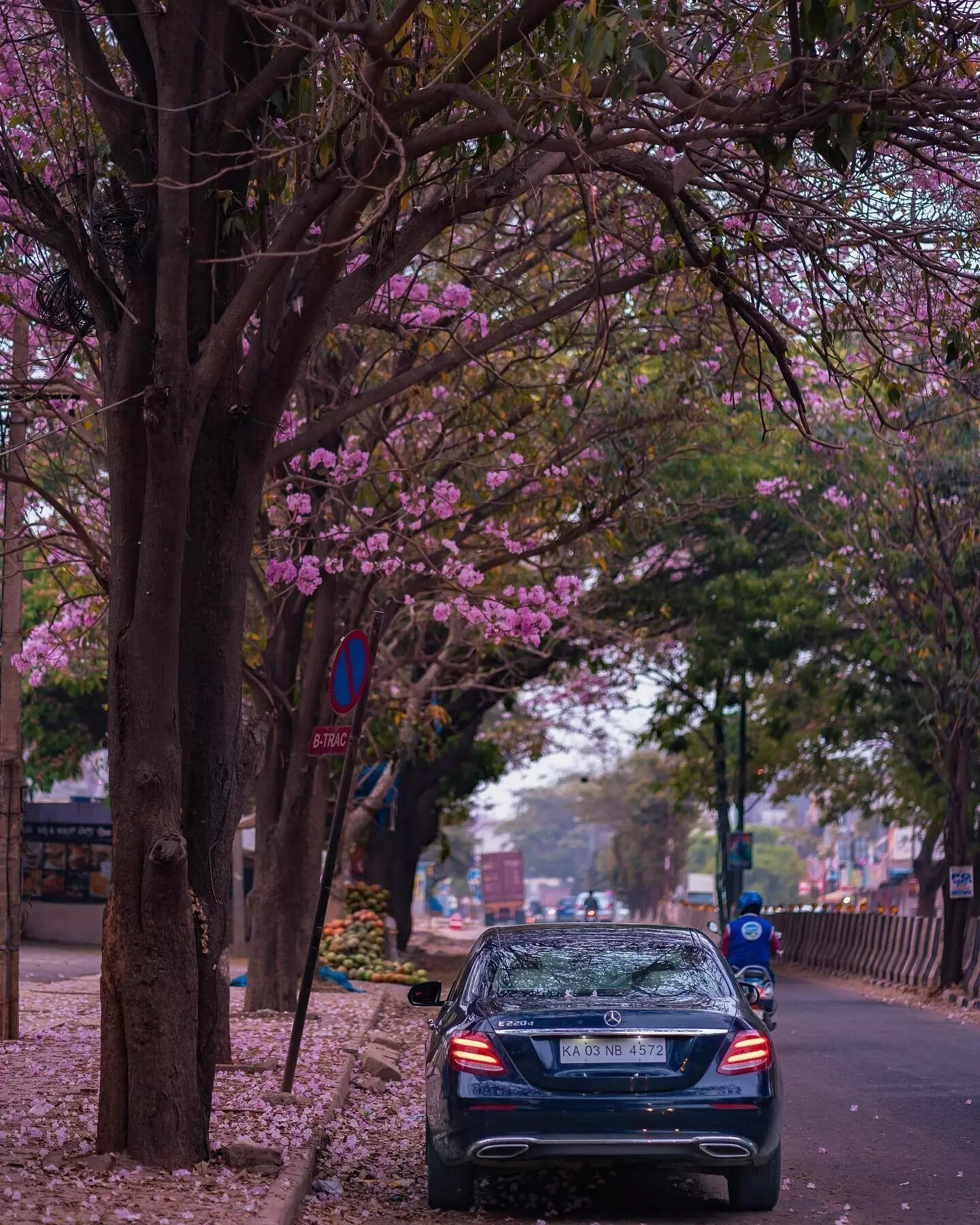 Cherry Blossom: Bengaluru Takes On Pink Hues With Blossom Season ...