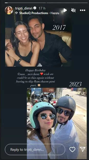 Triptii Dimri Sends Heartfelt Birthday Wishes To Rumoured Beau Sam ...