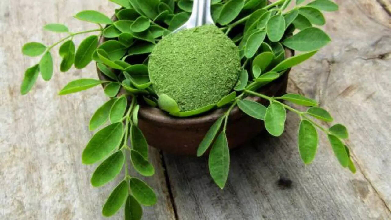 Moringa Water: Why Should You Drink Moringa Water On An Empty Stomach?