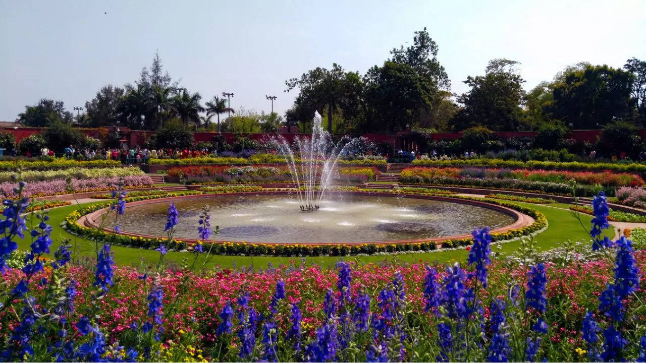 Amrit Udyan: All You Need To Know About The Udyan Utsav 2024