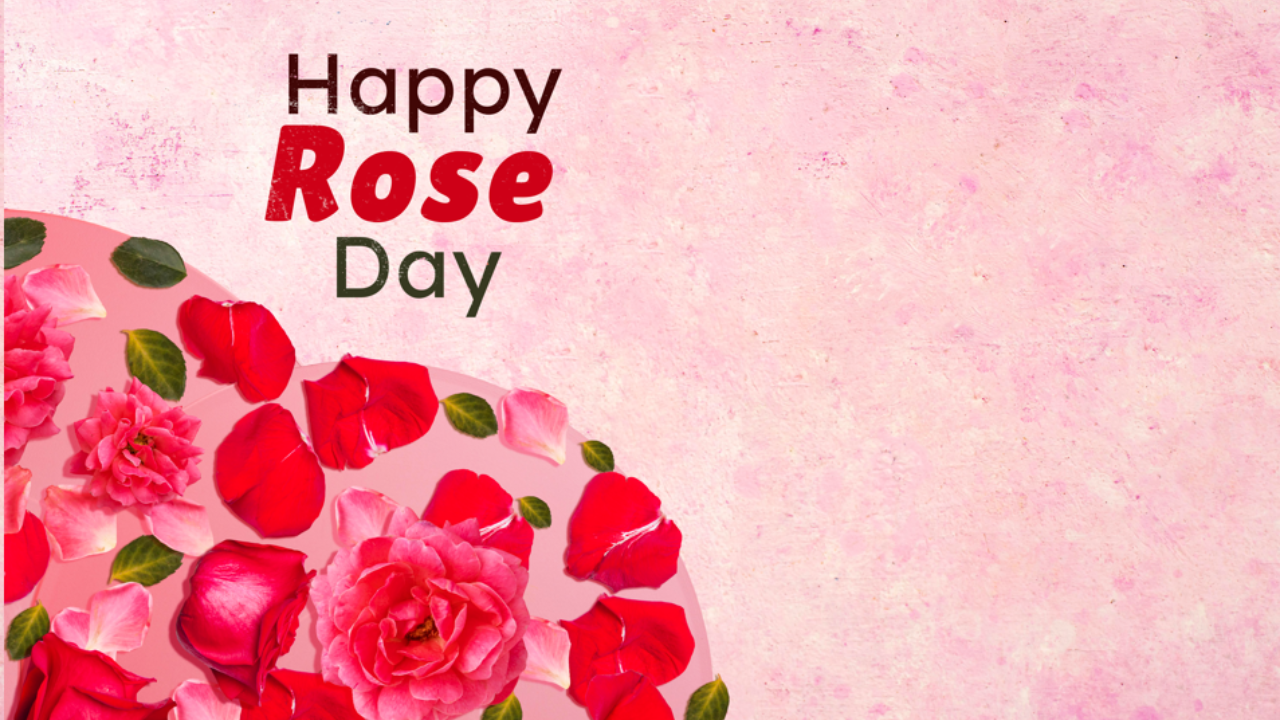 Happy Rose Day: Rose Day 2024: Date, History, Significance And Why Do ...