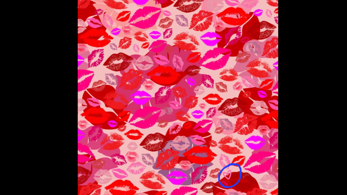 Valentine’s Special Optical Illusion: A Heart is Hidden Among All The ...
