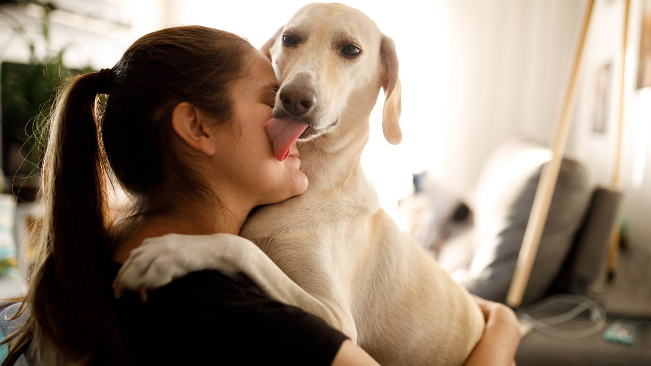 Dog Psychology: Science Says Dogs Are A Woman's Best Friend, Not Man's ...