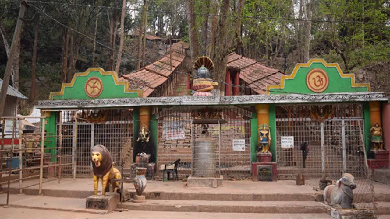 Odisha: Odisha's Gupteswar Forest Is The State’s 4th Biodiversity ...