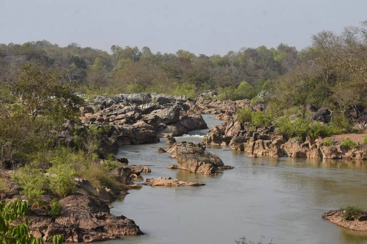 Odisha: Odisha's Gupteswar Forest Is The State’s 4th Biodiversity ...