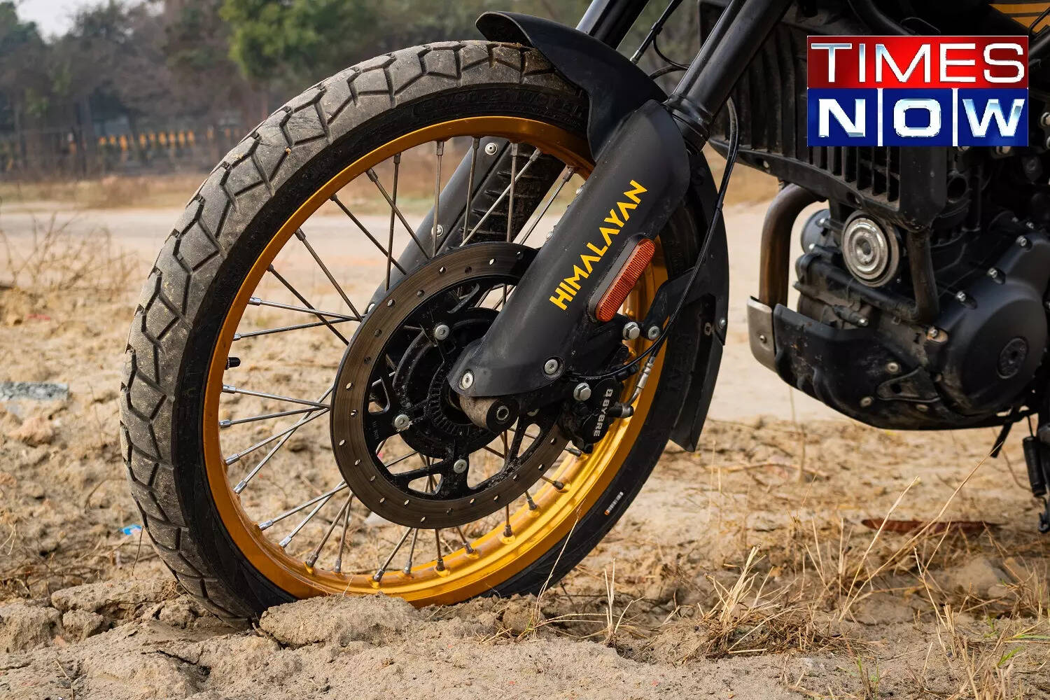 Royal Enfield Himalayan 450 Review: Roar Of The Thunder Cat | Times Now