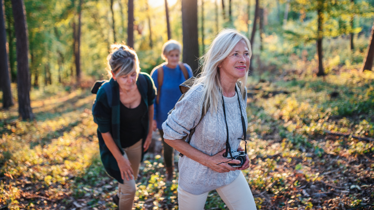 How Forest Therapy Can Improve Your Mood Without Breaking a Sweat ...