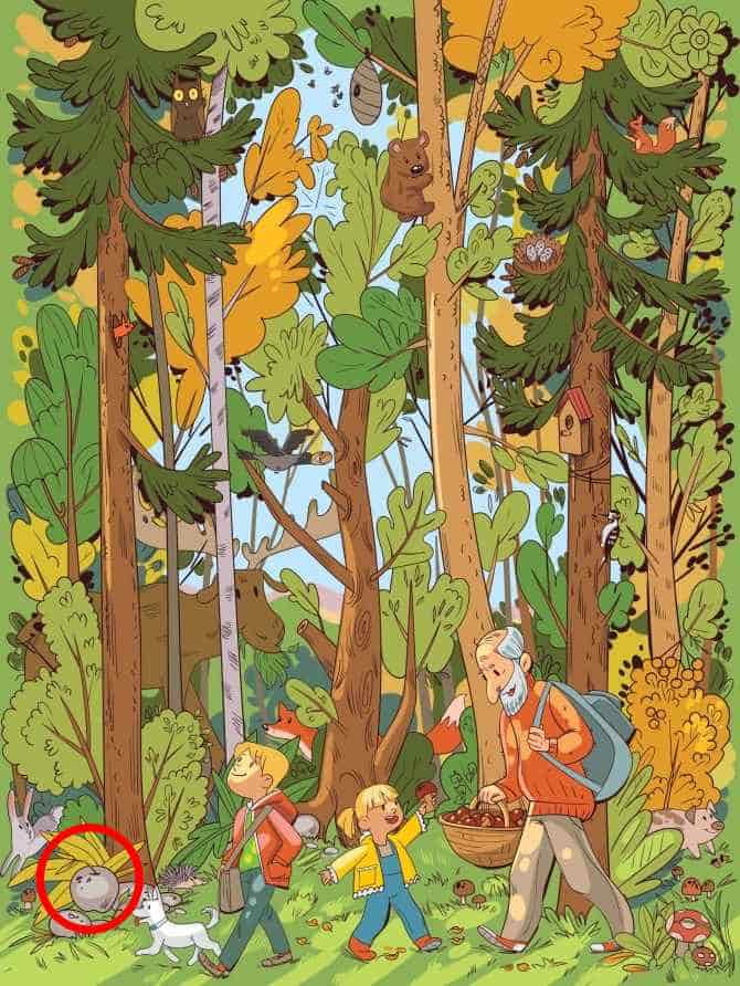Brain Teaser: Can You Find The Apple Hidden In The Forest Within 10 ...