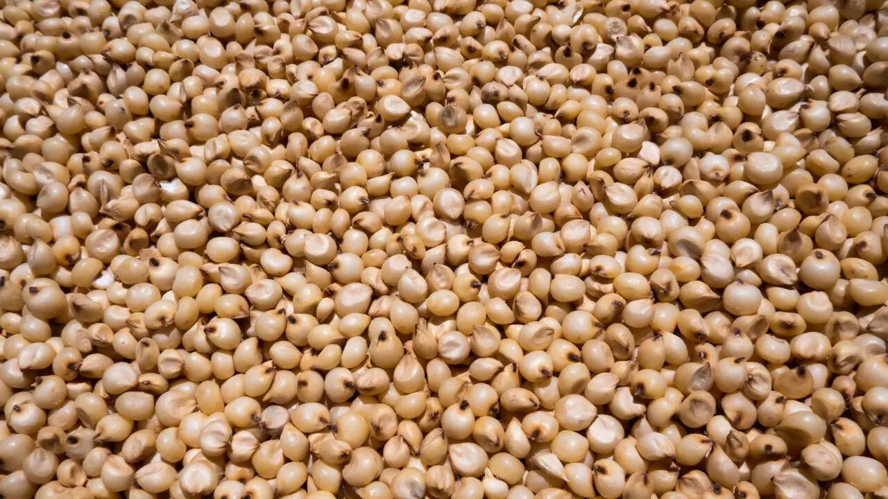 Best Jowar Dishes: 8 Dishes To Make With Jowar, How To Cook With It and ...