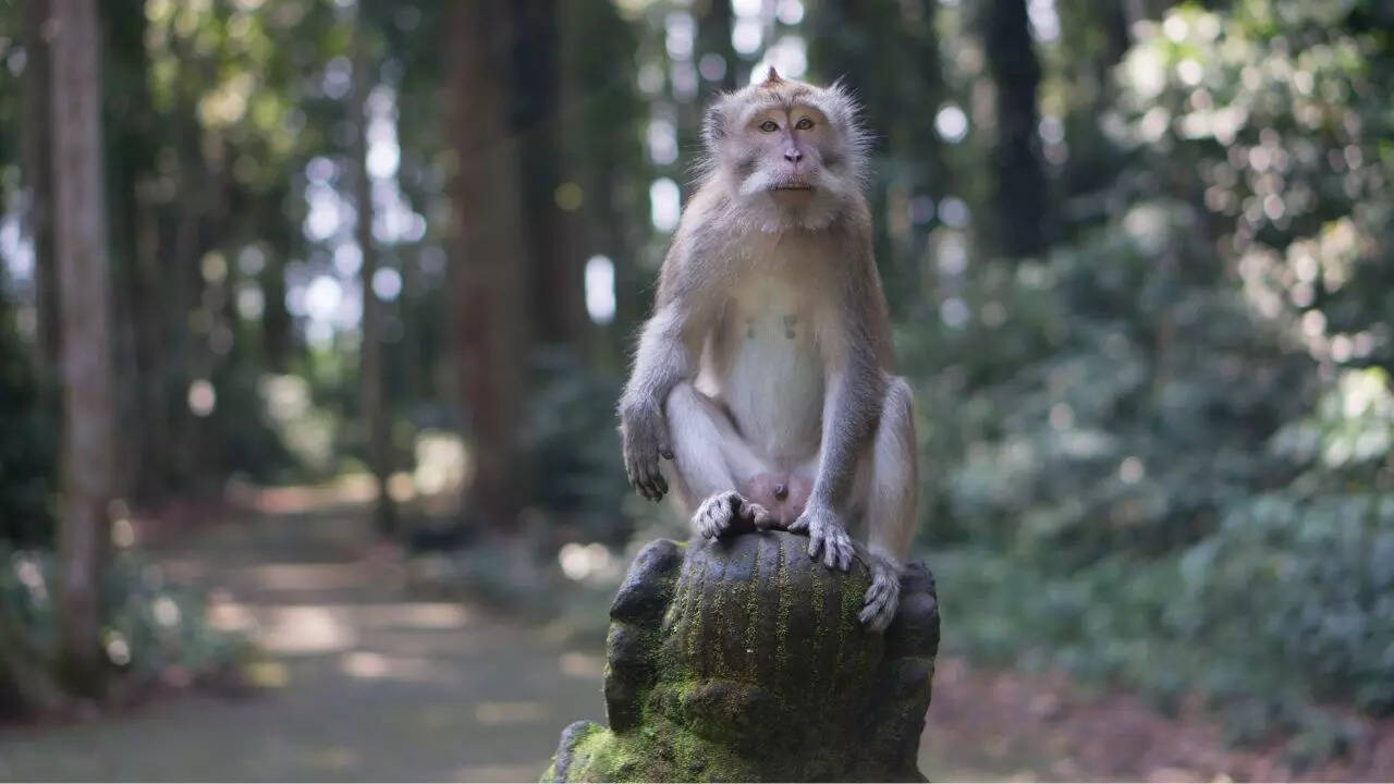 Bali: Beyond The Usual Tourist Trail, A Guide To Offbeat Places In Bali ...