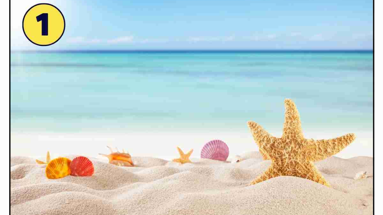 Personality Test: The Season You Choose Can Reveal If You’re Explorer ...